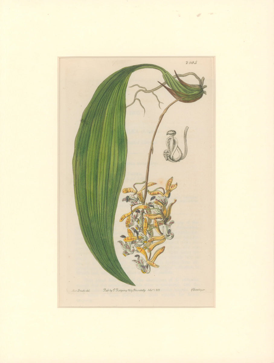 Sweet Pl. 2005 – Philadelphia Print Shop