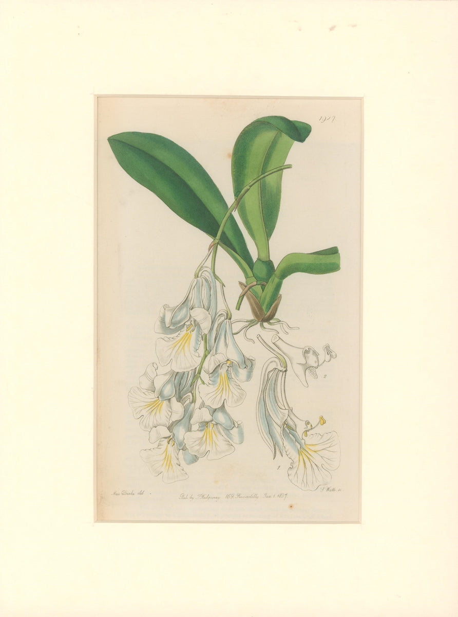 Sweet Pl. 1927 – Philadelphia Print Shop