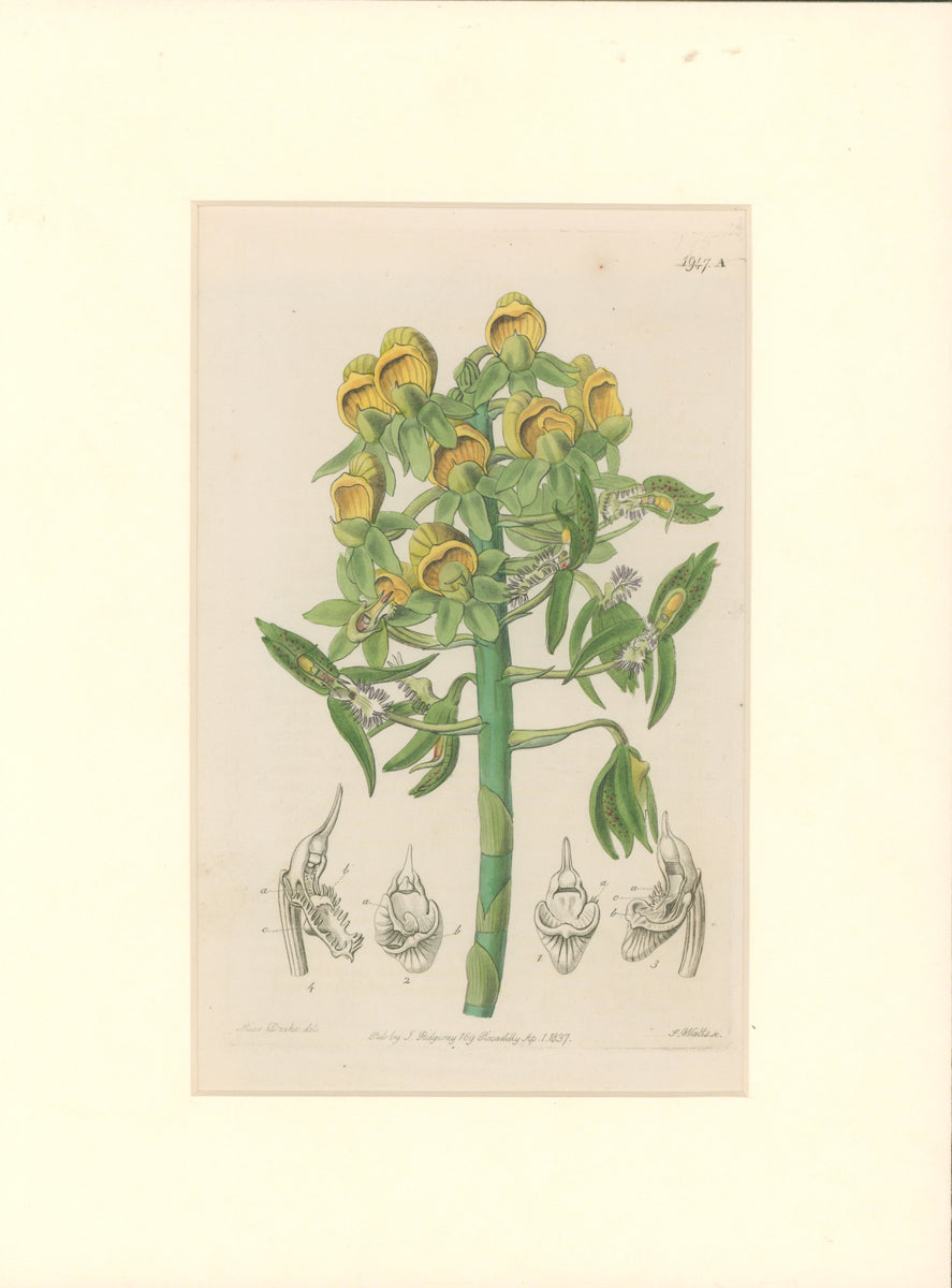 Sweet Pl. 1947A – Philadelphia Print Shop