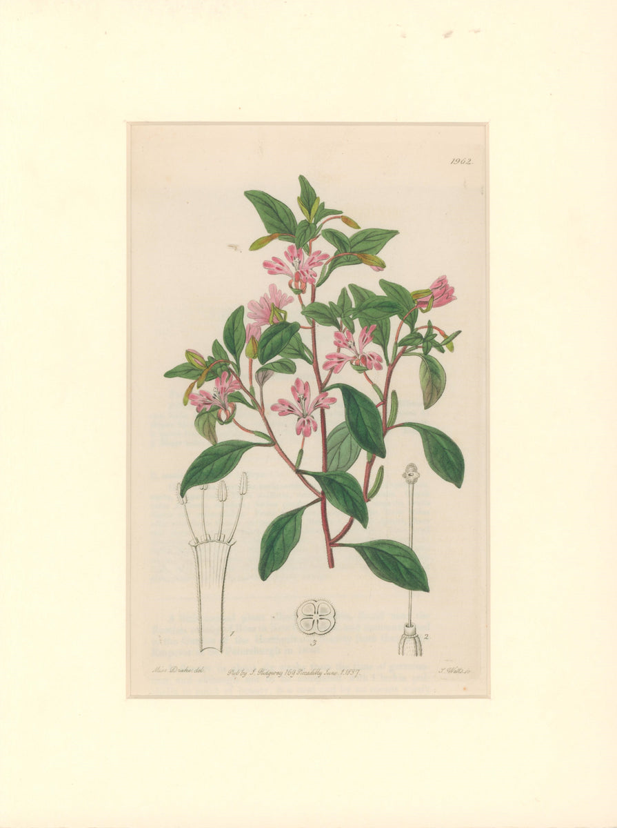 Sweet Pl. 1962 – Philadelphia Print Shop