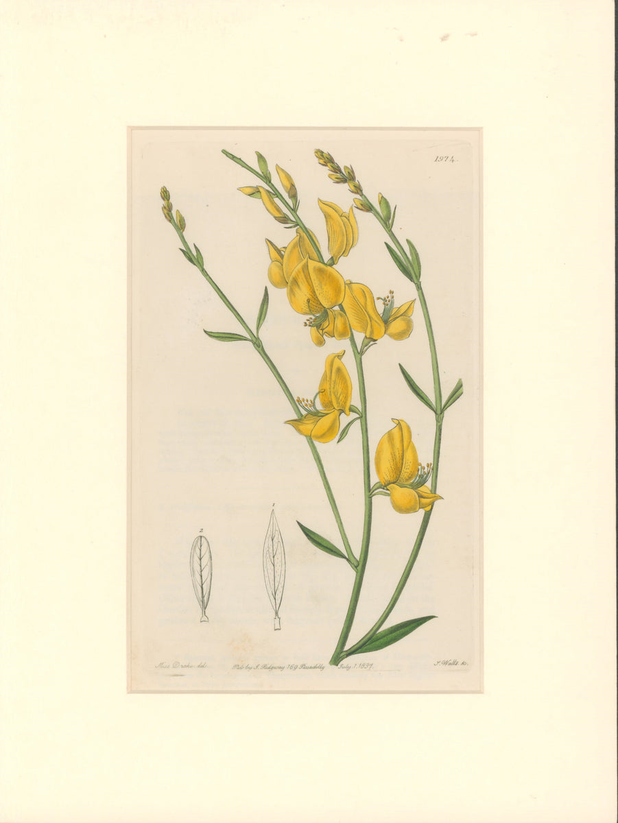 Sweet Pl. 1974 – Philadelphia Print Shop