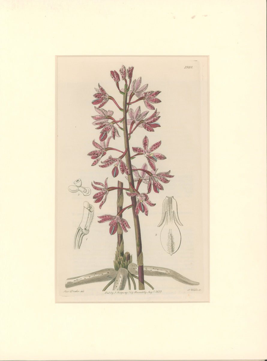 Sweet Pl. 1980 – Philadelphia Print Shop