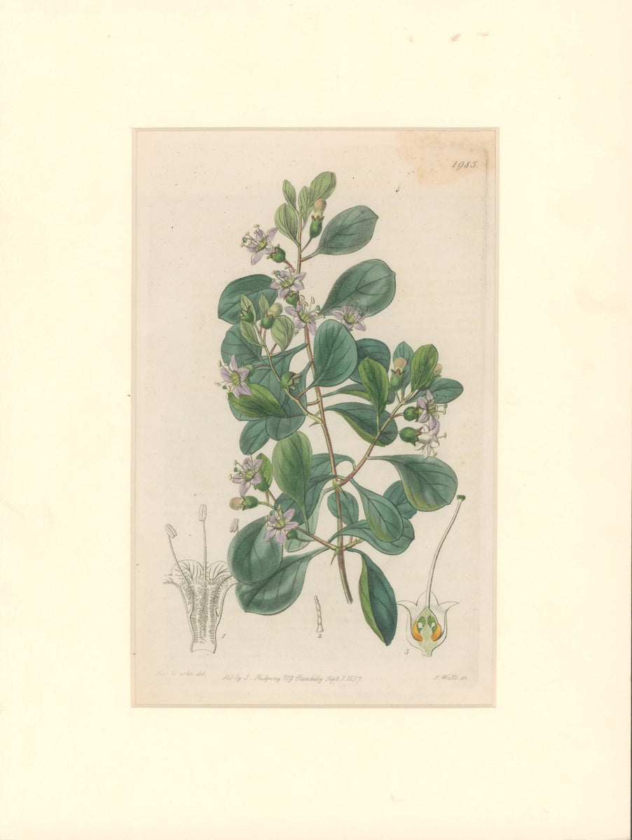 Sweet Pl. 1985 – Philadelphia Print Shop