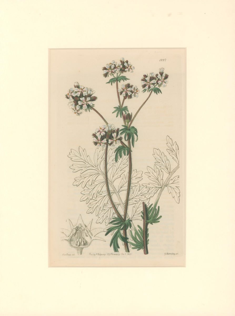 Sweet Pl. 1997 – Philadelphia Print Shop