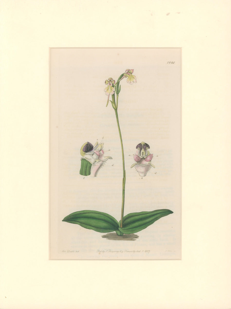 Sweet Pl. 1998 – Philadelphia Print Shop