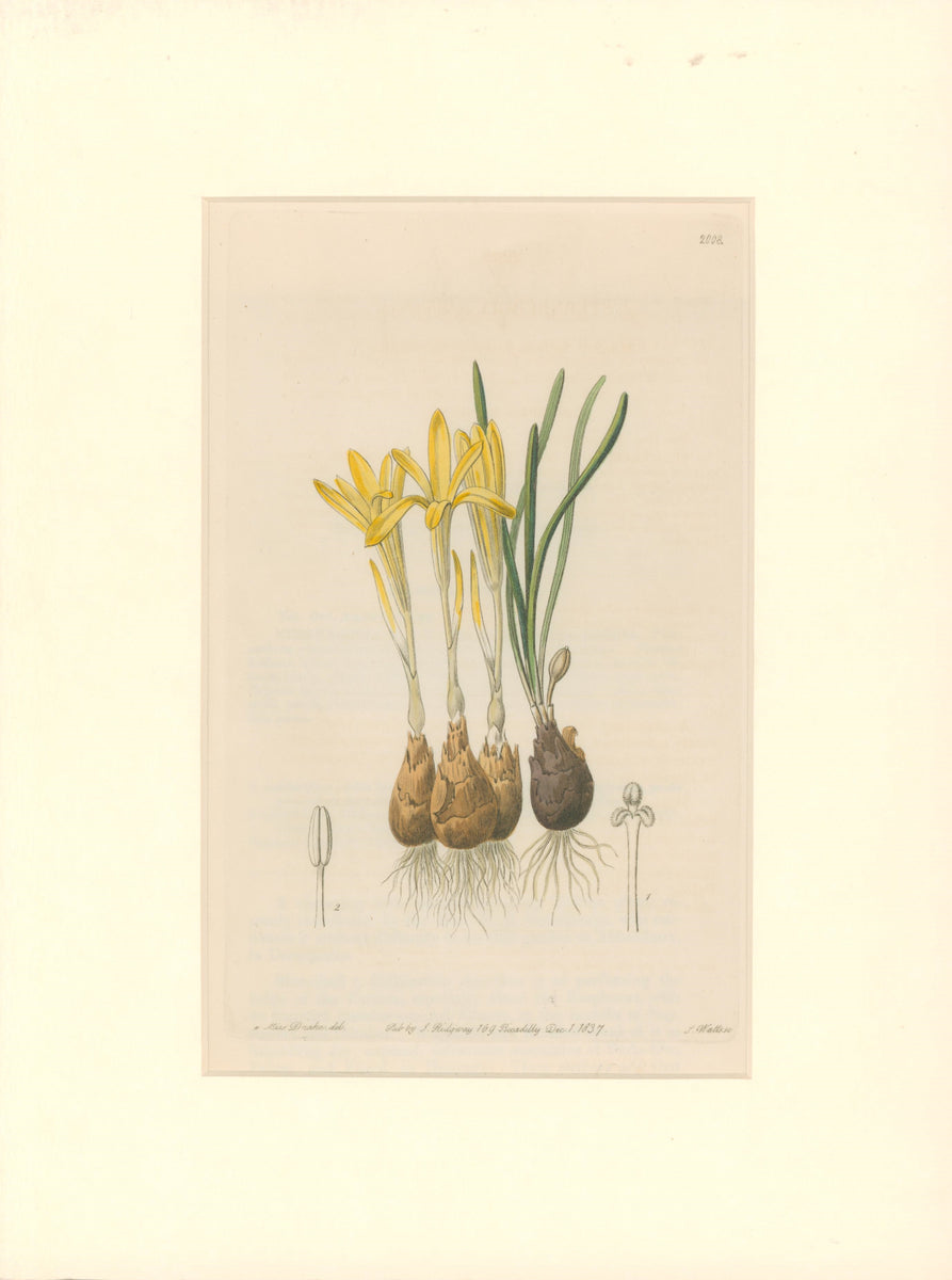 Sweet Pl. 2008 – Philadelphia Print Shop