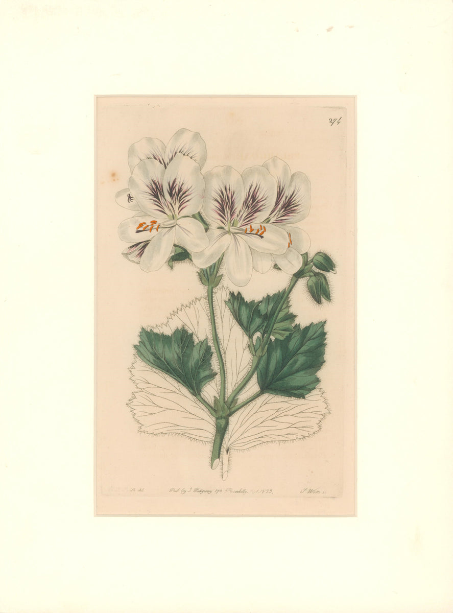 Sweet Pl. 274 – Philadelphia Print Shop