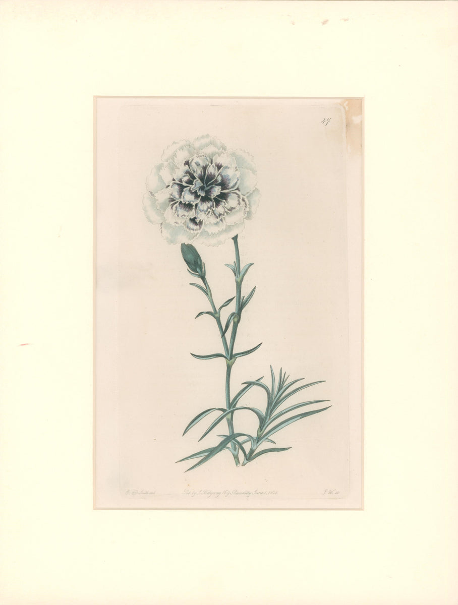 Sweet Pl. 47 – Philadelphia Print Shop