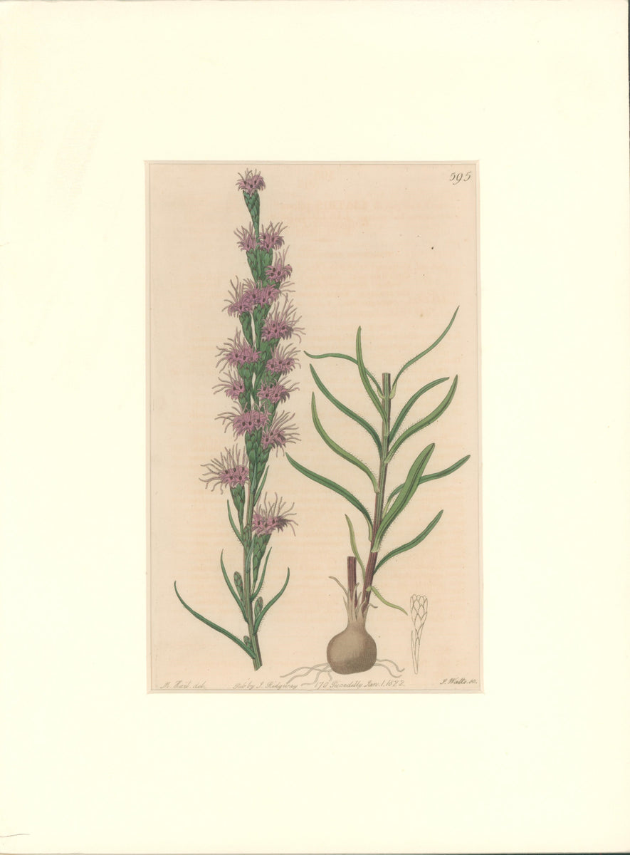 Sweet Pl. 595 – Philadelphia Print Shop