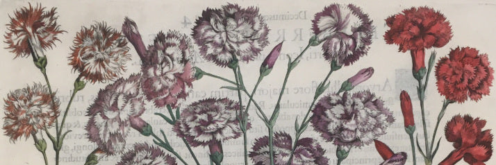 Basilius Besler – Philadelphia Print Shop