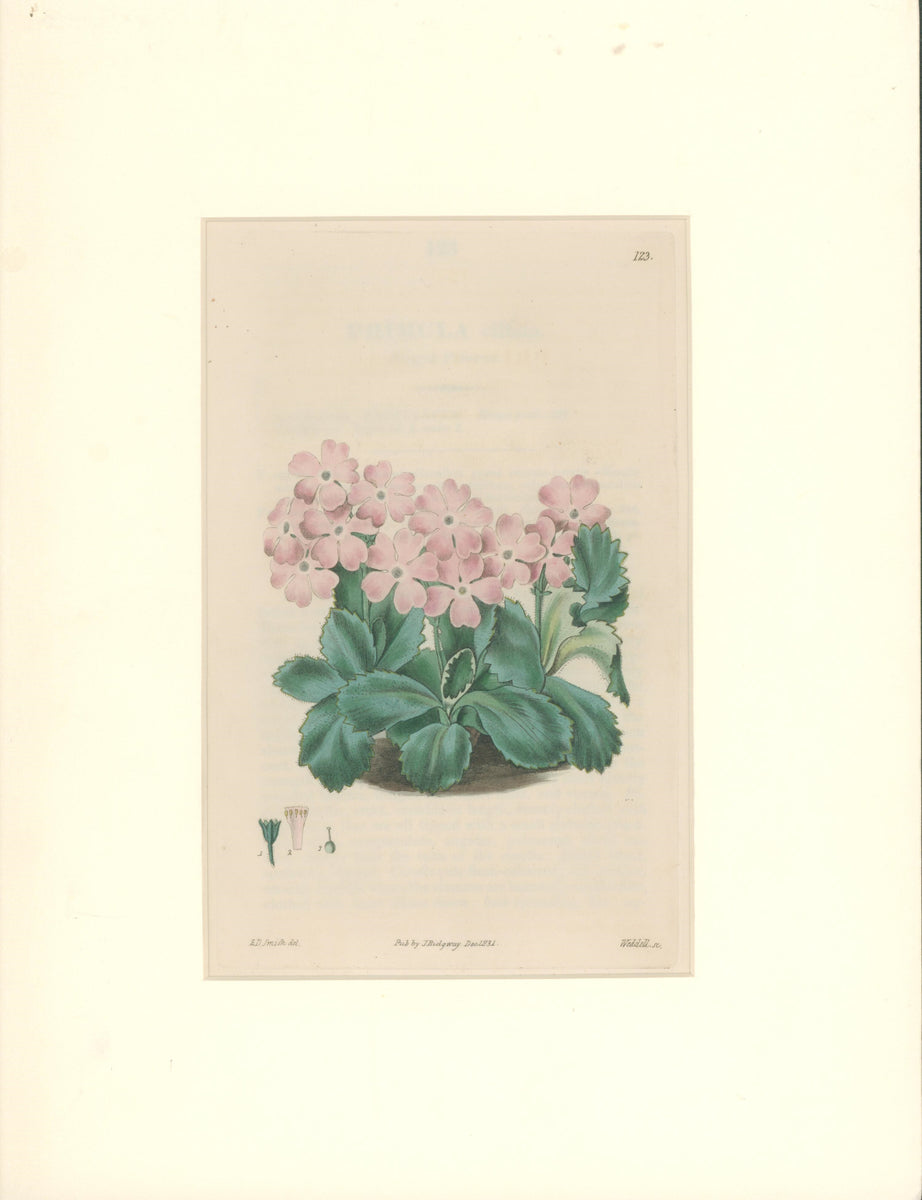 Sweet Pl. 123 – Philadelphia Print Shop