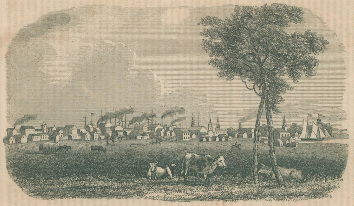 Unattributed “View of Chicago from the Prairie” From "Robert Sears’ Th ...